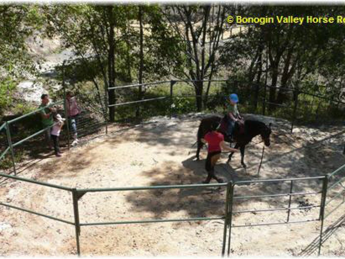 Gallery | Bonogin Valley Horse Retreat