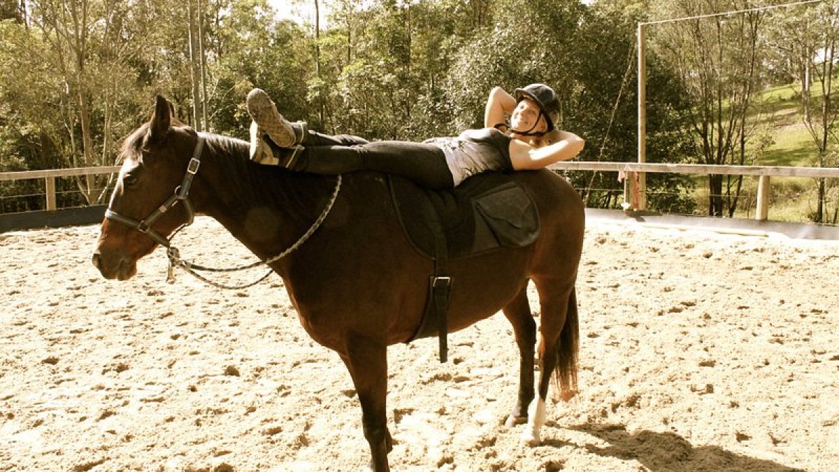 Bonogin Valley Horse Retreat | Horse Riding School Gold Coast