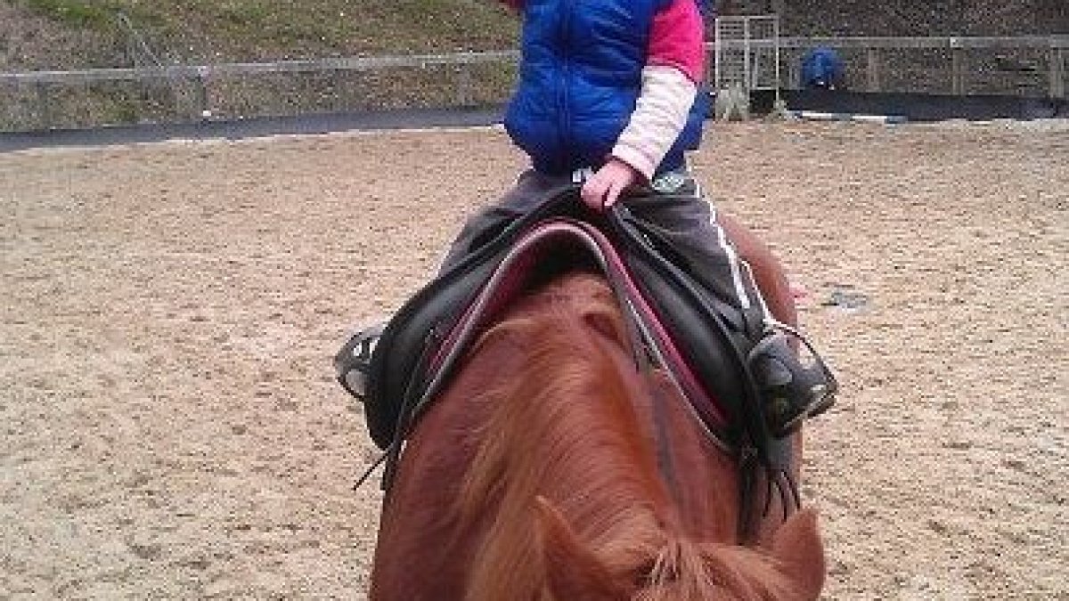 Bonogin Valley Horse Retreat | Horse Riding School Gold Coast