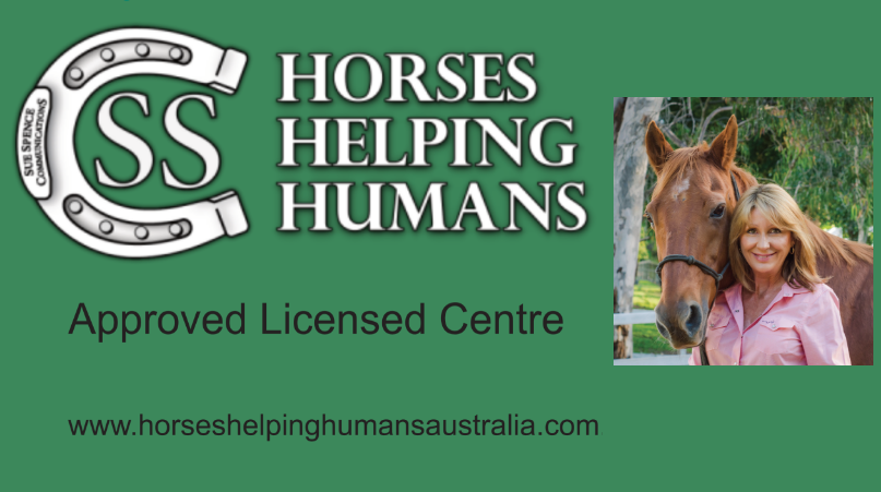 Horses Helping Humans Program | Bonogin Valley Horse Retreat